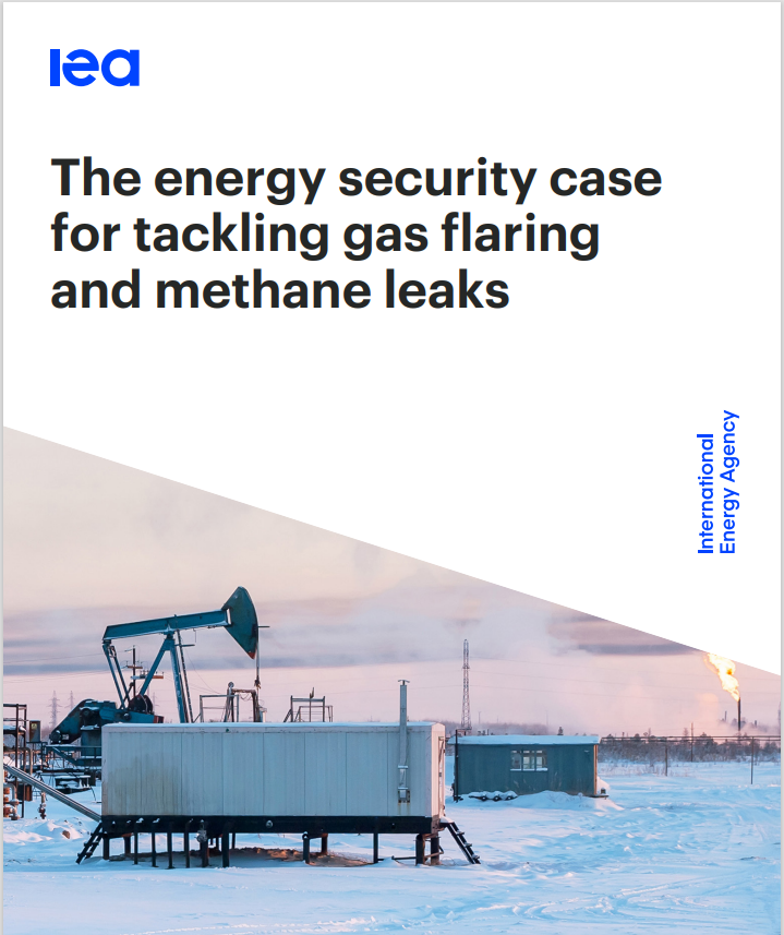 Oil & Gas - IEA Report: The Energy Security Case for... | Global ...